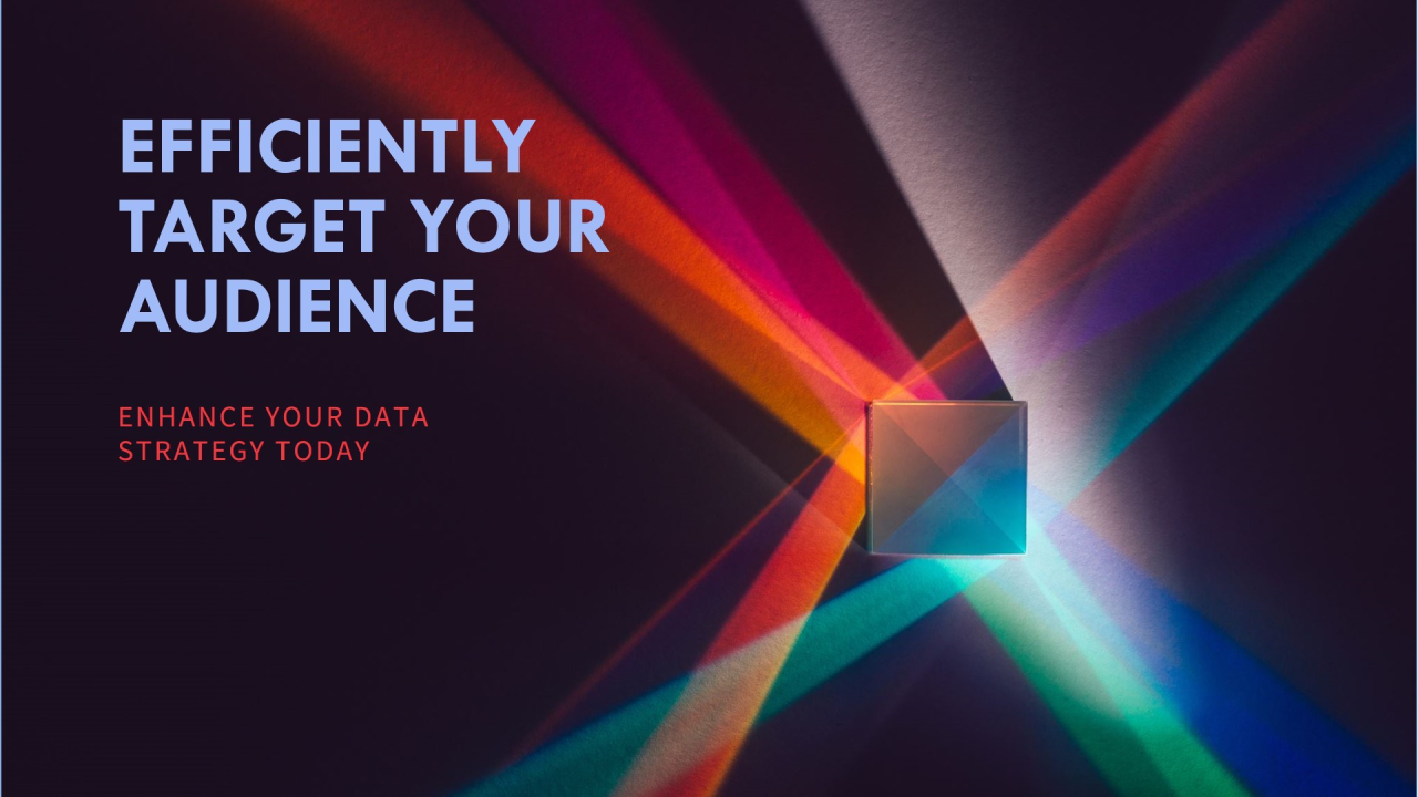 Database Segmentation: Enhancing Data Efficiency and Targeting | Lalit ... Database Segmentation: Enhancing Data Efficiency and Targeting | Lalit ...