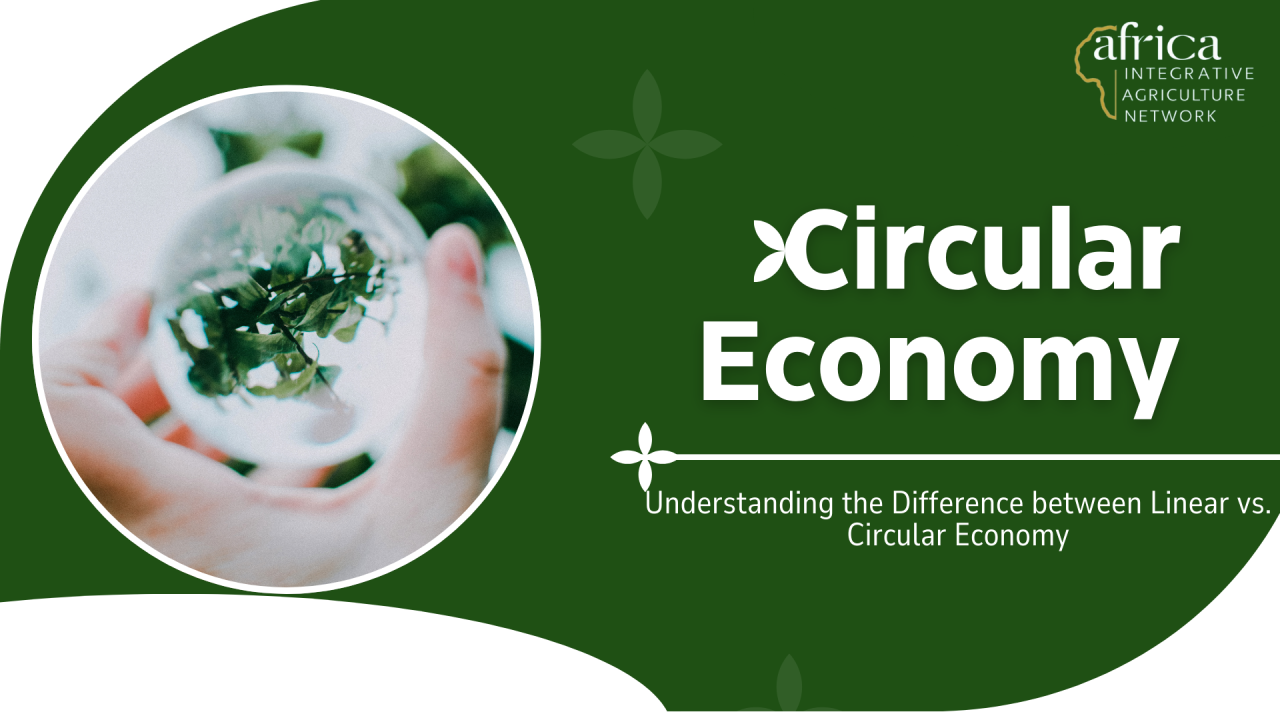 Understanding the Difference between Linear vs. Circular Economy Understanding the Difference between Linear vs. Circular Economy