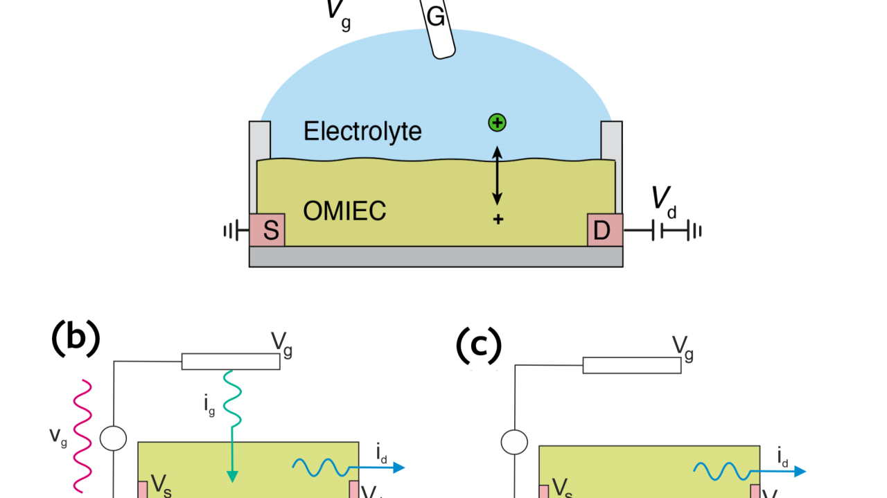 Impedance spectroscopy of organic ionic transistors Impedance spectroscopy of organic ionic transistors