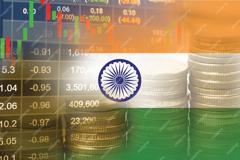 The Indian Economy The Indian Economy