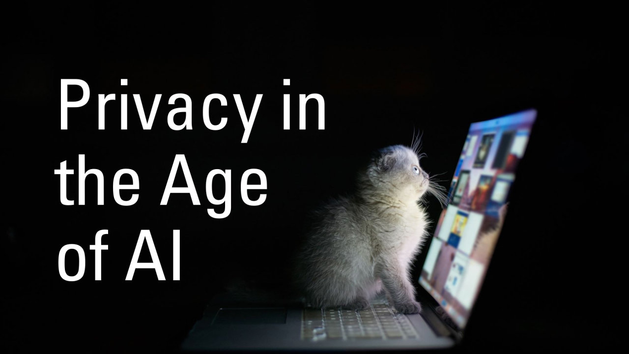 Protecting Your Privacy in the Age of AI Protecting Your Privacy in the Age of AI