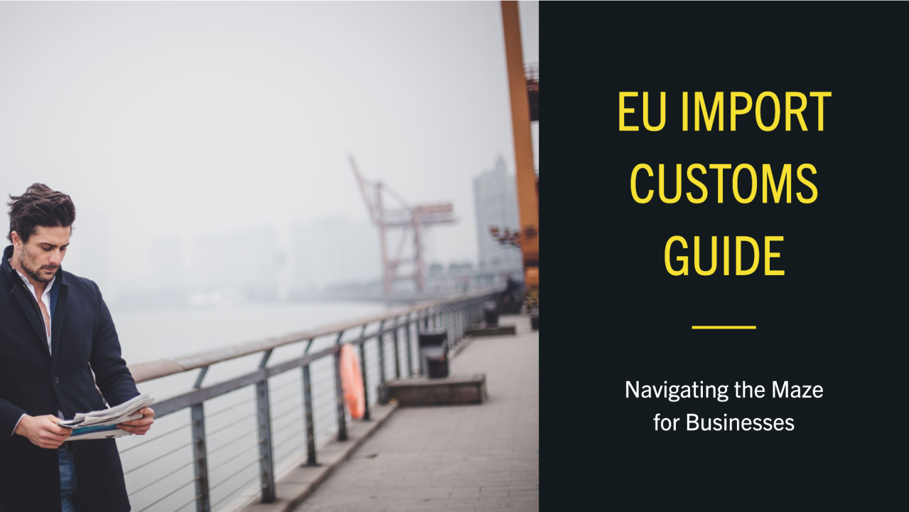 Navigating the Maze of EU Import Customs: A Comprehensive Guide for ... Navigating the Maze of EU Import Customs: A Comprehensive Guide for ...