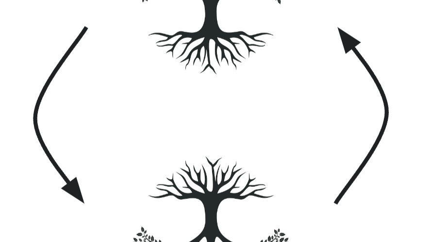 🌳 Binary Search Tree Algorithm in JavaScript 🌳 🌳 Binary Search Tree Algorithm in JavaScript 🌳