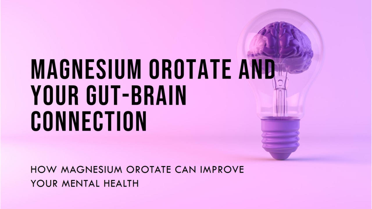 Magnesium Orotate and the Gut–Brain Axis: Unlocking New Therapeutic ... Magnesium Orotate and the Gut–Brain Axis: Unlocking New Therapeutic ...