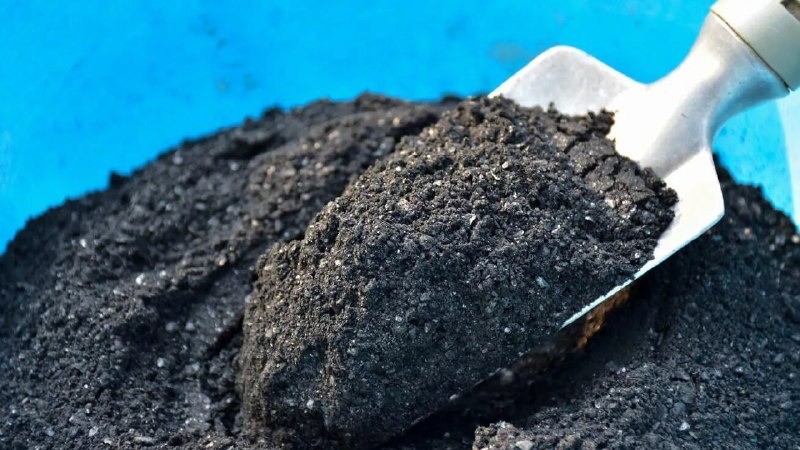 Unlocking the Secrets Beneath Our Feet: How Soil Health Holds the Key ... Unlocking the Secrets Beneath Our Feet: How Soil Health Holds the Key ...