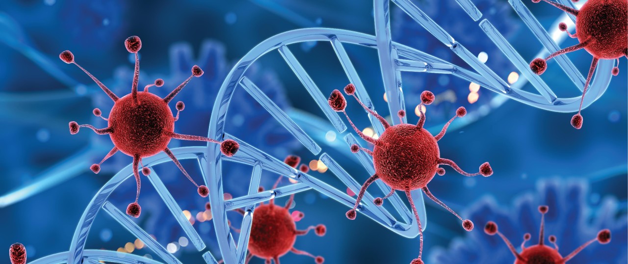 Fenbendazole for Humans Cancer | Dosage and Clinical Trials Fenbendazole for Humans Cancer | Dosage and Clinical Trials