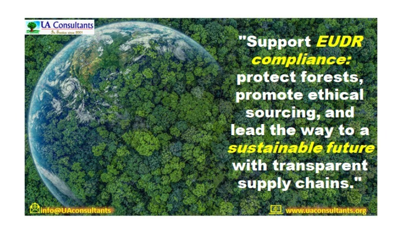 Navigating the European Union Deforestation Regulation (EUDR): A Guide ... Navigating the European Union Deforestation Regulation (EUDR): A Guide ...