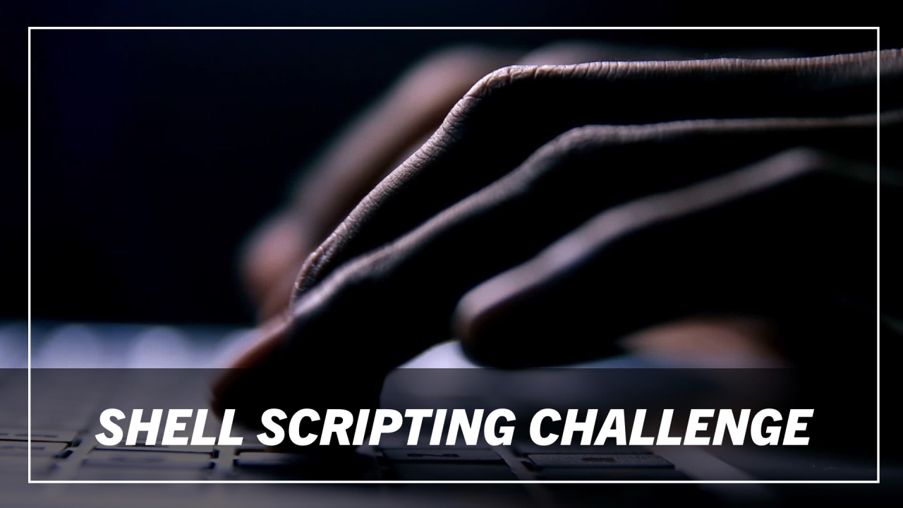 Day 8: Shell Scripting Challenge Day 8: Shell Scripting Challenge