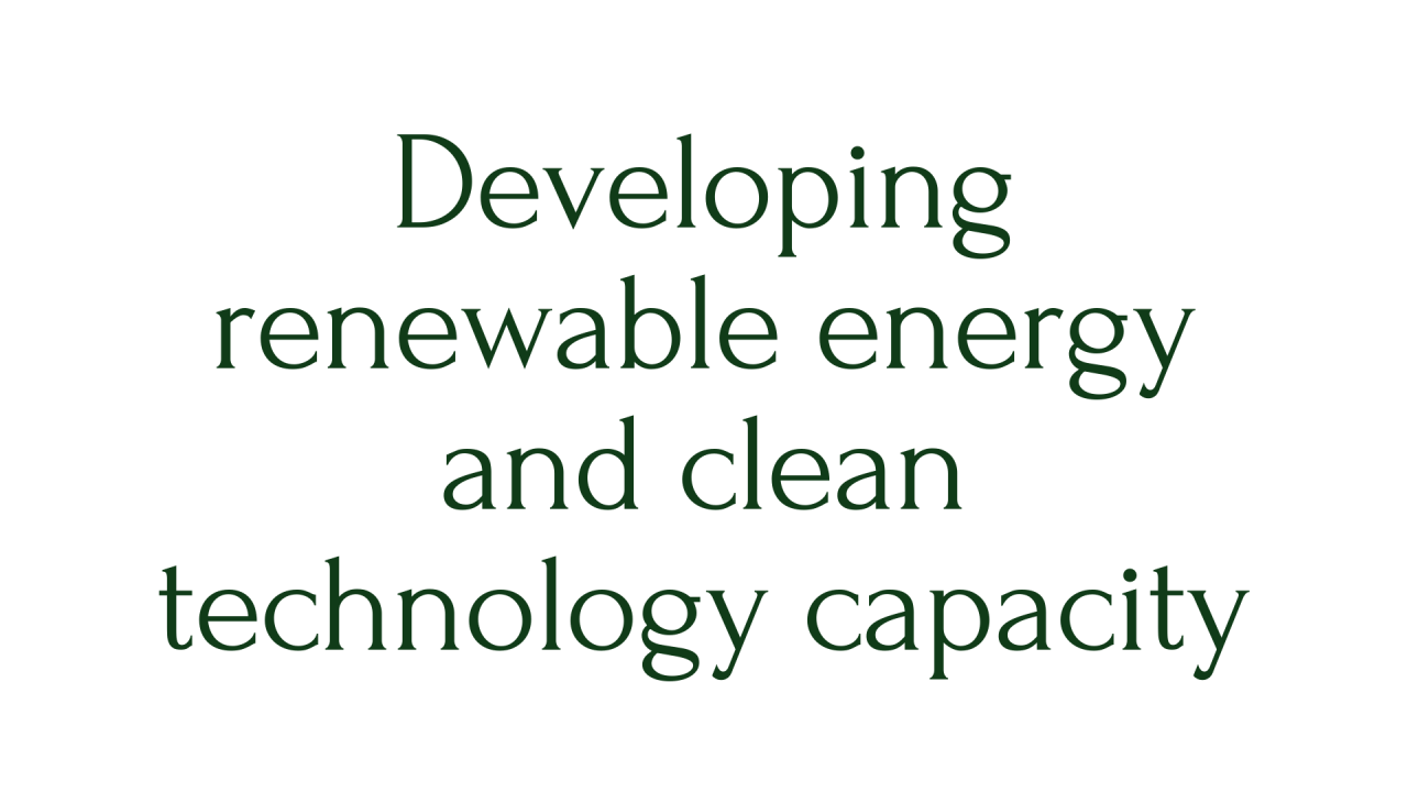 Developing renewable energy and clean technology capacity Developing renewable energy and clean technology capacity