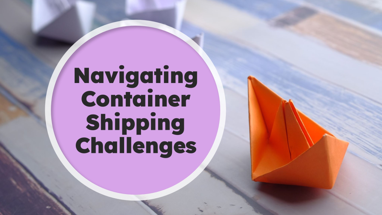 Navigating Container Shipping Challenges: Lessons from the Red Sea Crisis Navigating Container Shipping Challenges: Lessons from the Red Sea Crisis
