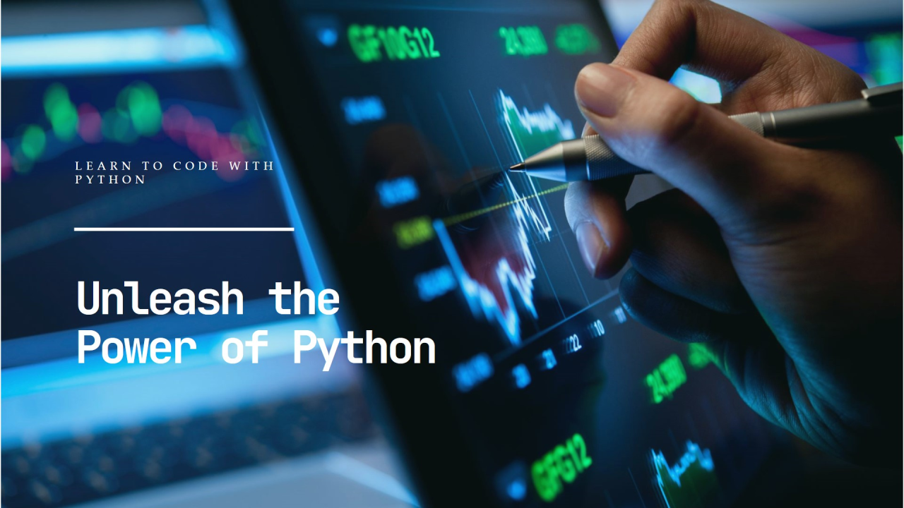 python programmer: python programmer: