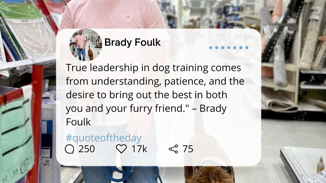 Discover the Transformative Power of Mindfulness and Leadership in Dog ... Discover the Transformative Power of Mindfulness and Leadership in Dog ...