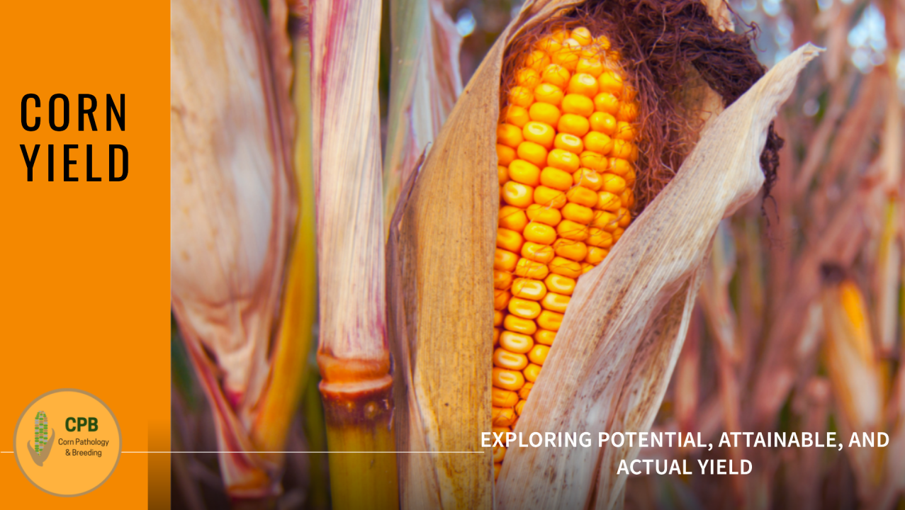 Differences Between Potential Yield, Attainable Yield, and Actual Yield ... Differences Between Potential Yield, Attainable Yield, and Actual Yield ...