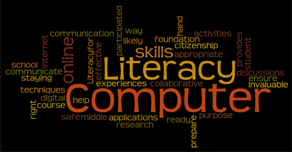 COMPUTER LITERACY COMPUTER LITERACY