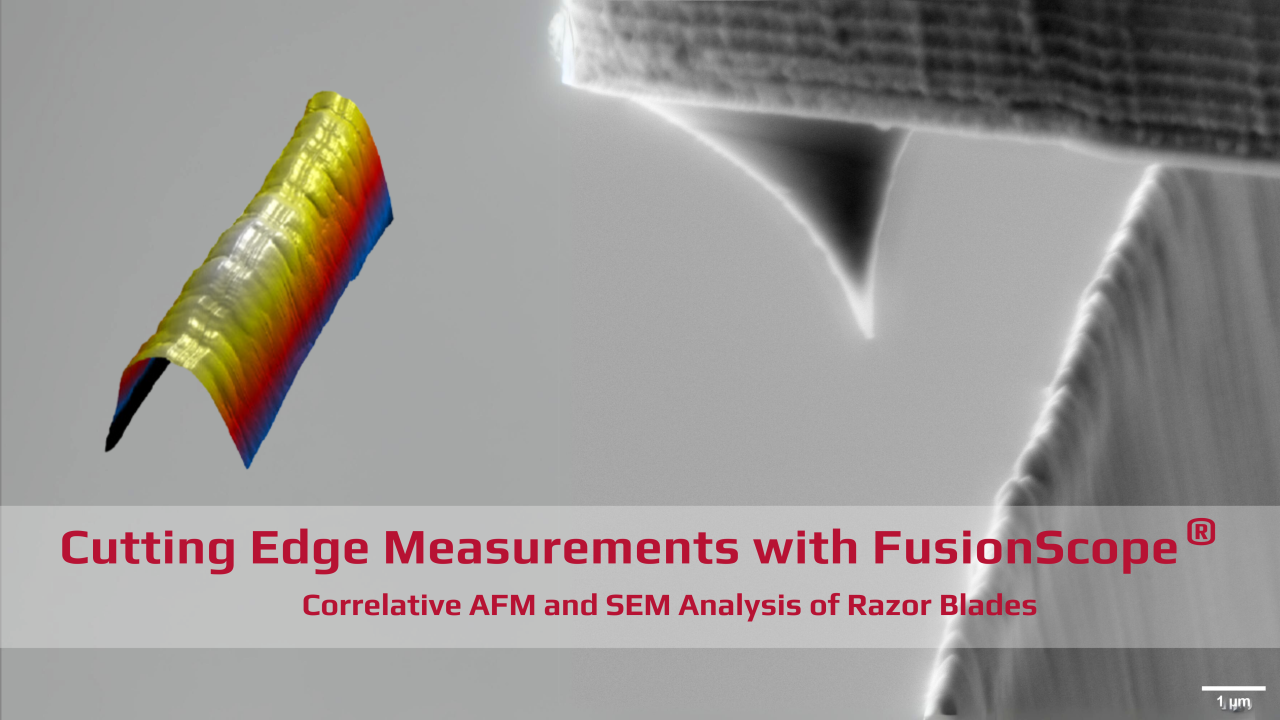 Use complementary information from SEM and AFM to image complex samples ... Use complementary information from SEM and AFM to image complex samples ...