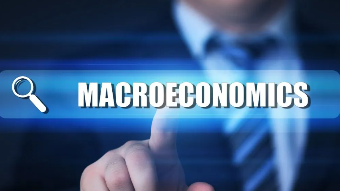 The Macro-economic Environment The Macro-economic Environment