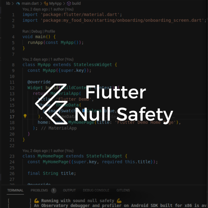 Null Safety In Flutter | Ankit Kumar Null Safety In Flutter | Ankit Kumar