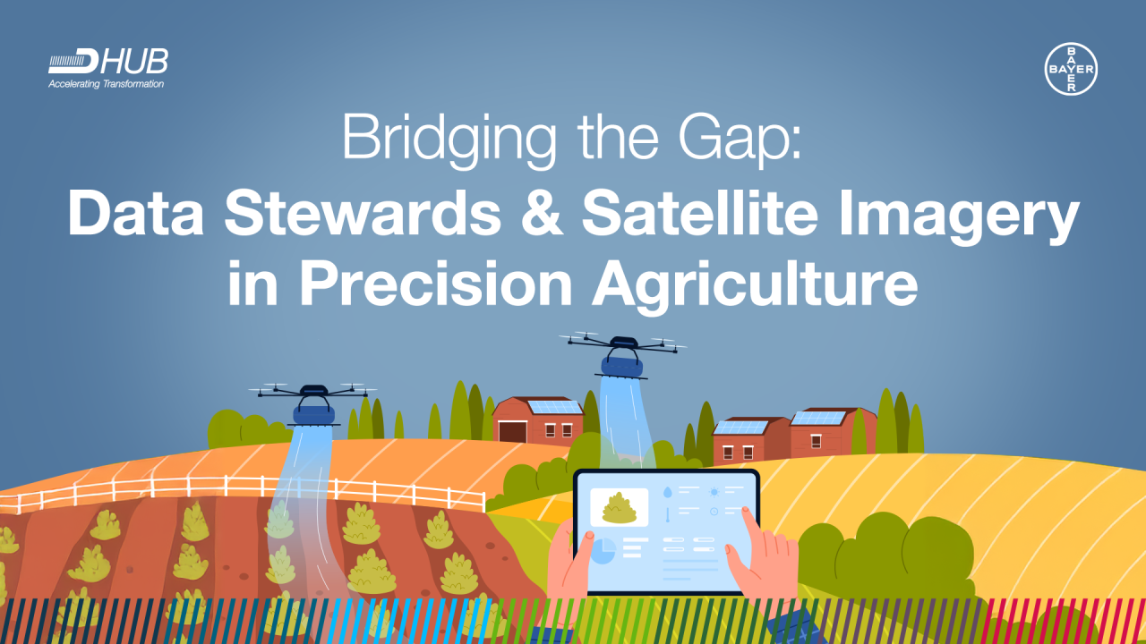 Bridging the Gap: Satellite Imagery Bridging the Gap: Satellite Imagery