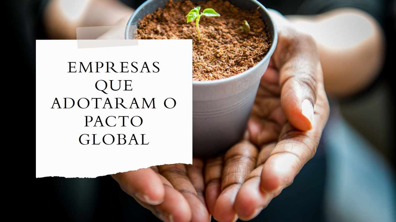 Casos de Estudo: Empresas que Adotaram o Pacto Global Casos de Estudo: Empresas que Adotaram o Pacto Global