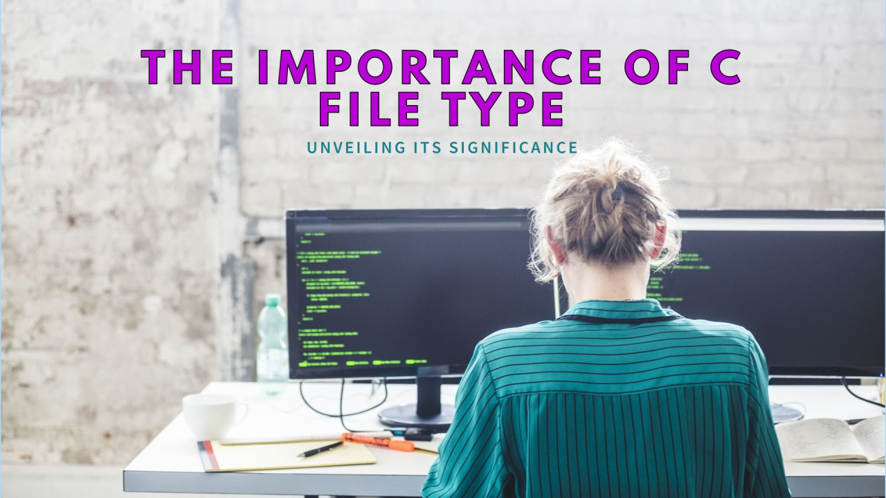 Understanding the C File Type: Unveiling its Significance Understanding the C File Type: Unveiling its Significance