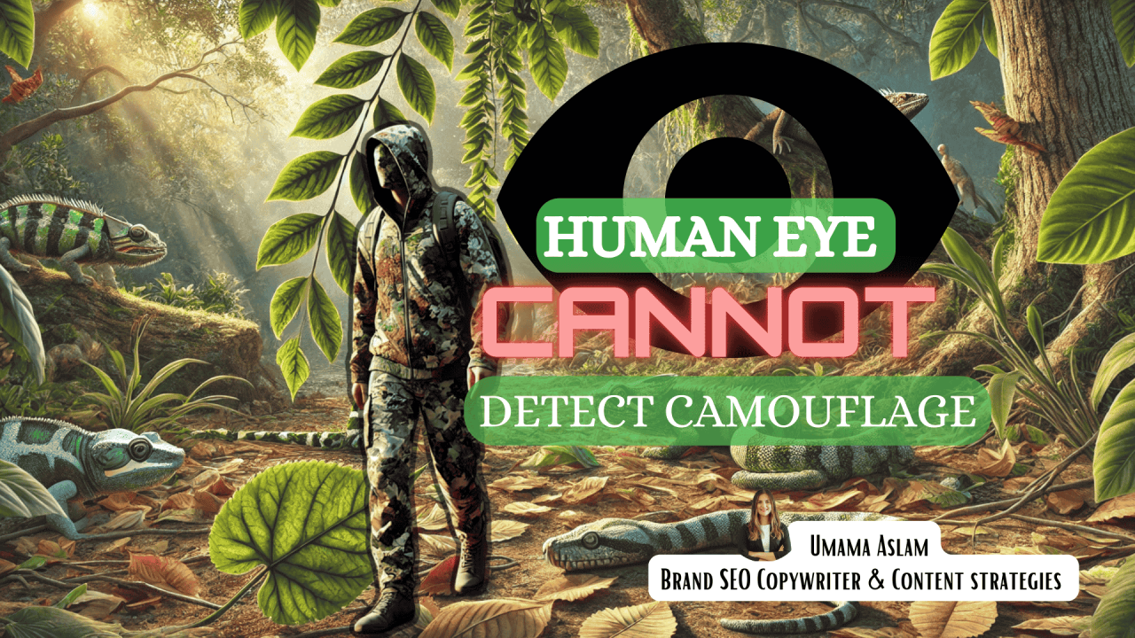 Why Does the Human Eye Cannot Detect Camouflage Why Does the Human Eye Cannot Detect Camouflage