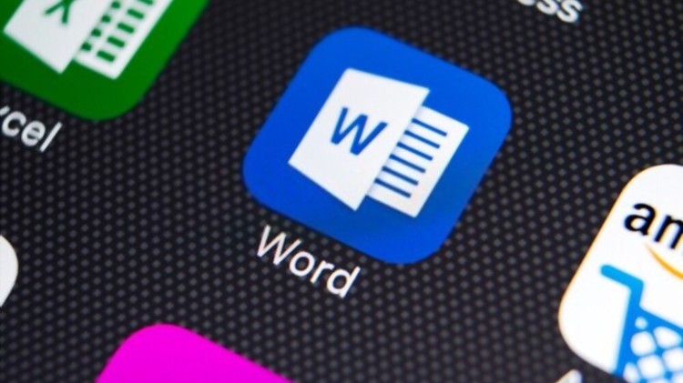 Microsoft Word- MS Word Basic to Advance Training Course Microsoft Word- MS Word Basic to Advance Training Course