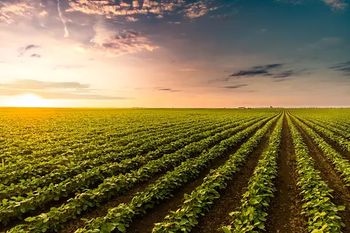 Revolutionizing South Africa's Agriculture with AI: A Path to Inclusive ... Revolutionizing South Africa's Agriculture with AI: A Path to Inclusive ...
