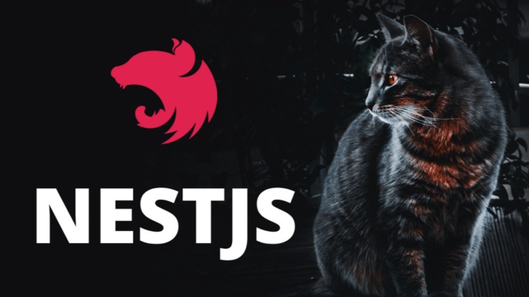 NestJs ORMs (Object Relational Mappers) NestJs ORMs (Object Relational Mappers)