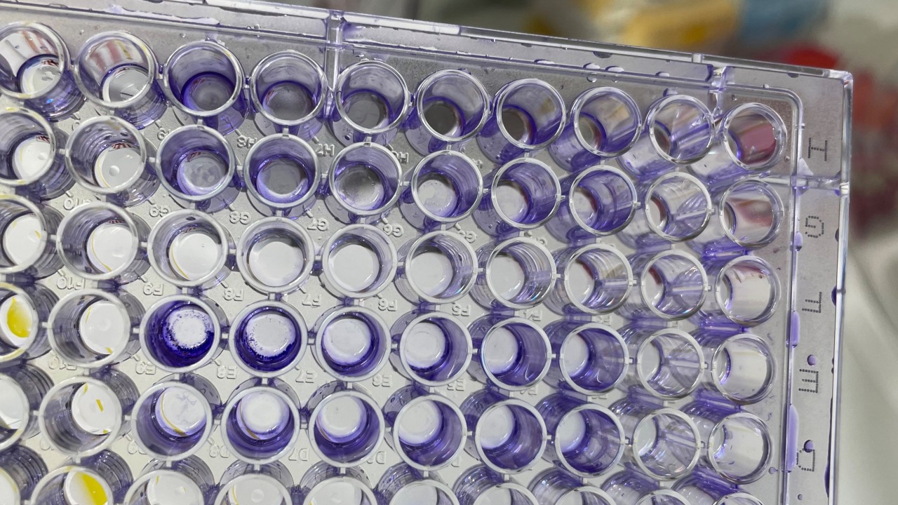 Understanding Biofilms: A Persistent Challenge in Medical and ... Understanding Biofilms: A Persistent Challenge in Medical and ...