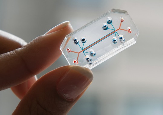 Animal Testing and Non-Animal Alternative Testing Market 2023 ... Animal Testing and Non-Animal Alternative Testing Market 2023 ...