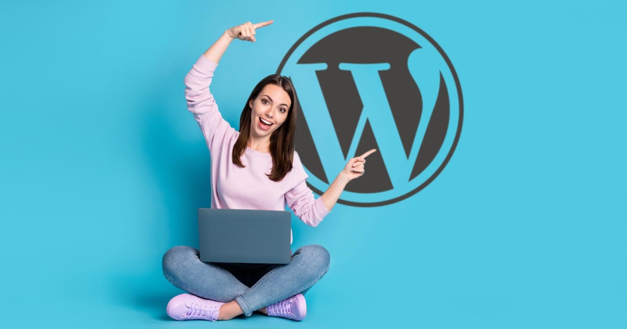 Types Of WordPress Websites. Types Of WordPress Websites.