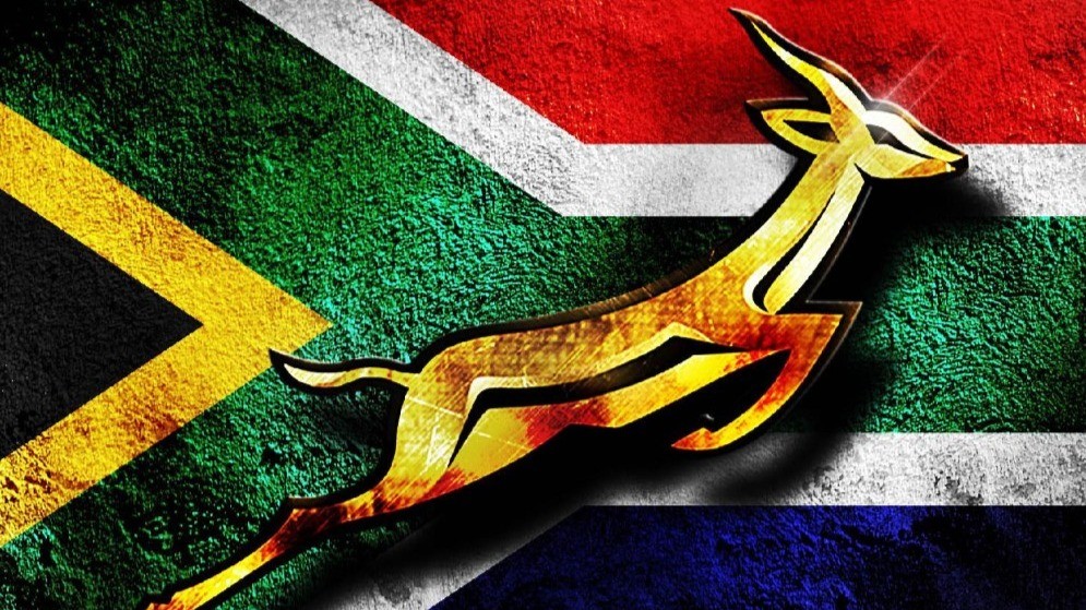 #️⃣The Springboks' remarkable achievements in 2024 as World Champions ... #️⃣The Springboks' remarkable achievements in 2024 as World Champions ...