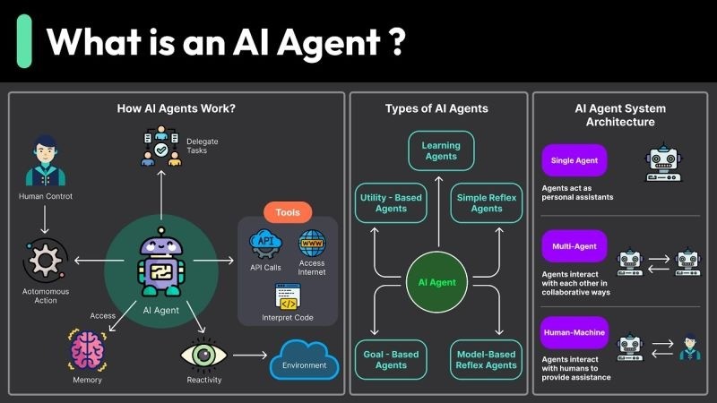 Exploring AI Agents: Unlocking Their Potential Exploring AI Agents: Unlocking Their Potential