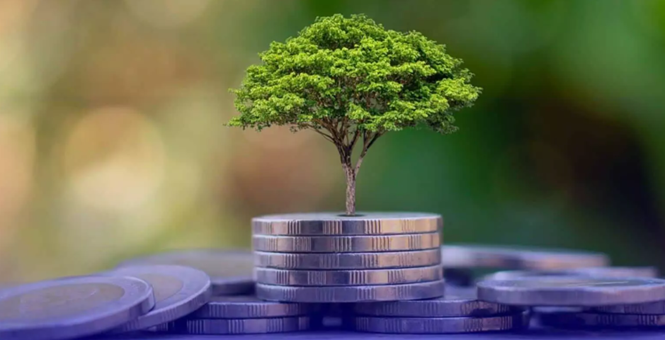 Investimento em fintech: quais cuidados você deve ter? Investimento em fintech: quais cuidados você deve ter?