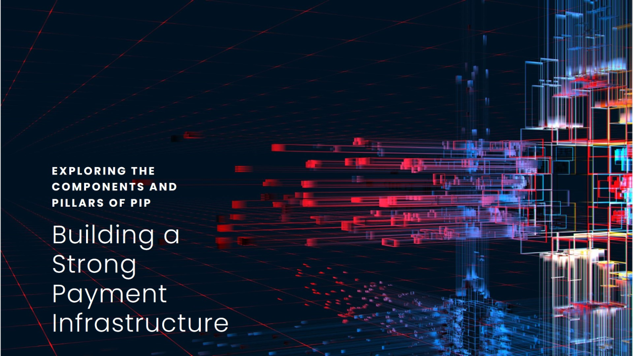 Payment Infrastructure Platform (PIP) constituent and pillars. Payment Infrastructure Platform (PIP) constituent and pillars.