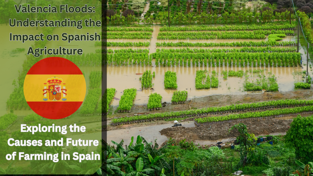 Catastrophic Floods in Valencia: Understanding the Causes, Impacts, and ... Catastrophic Floods in Valencia: Understanding the Causes, Impacts, and ...