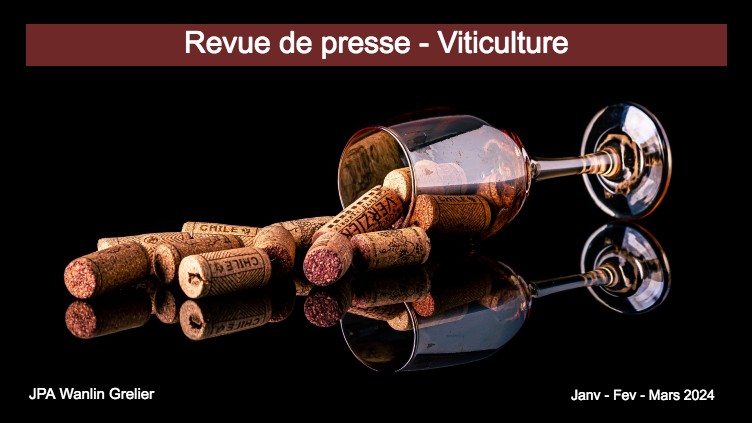 Votre revue de presse viticole Votre revue de presse viticole