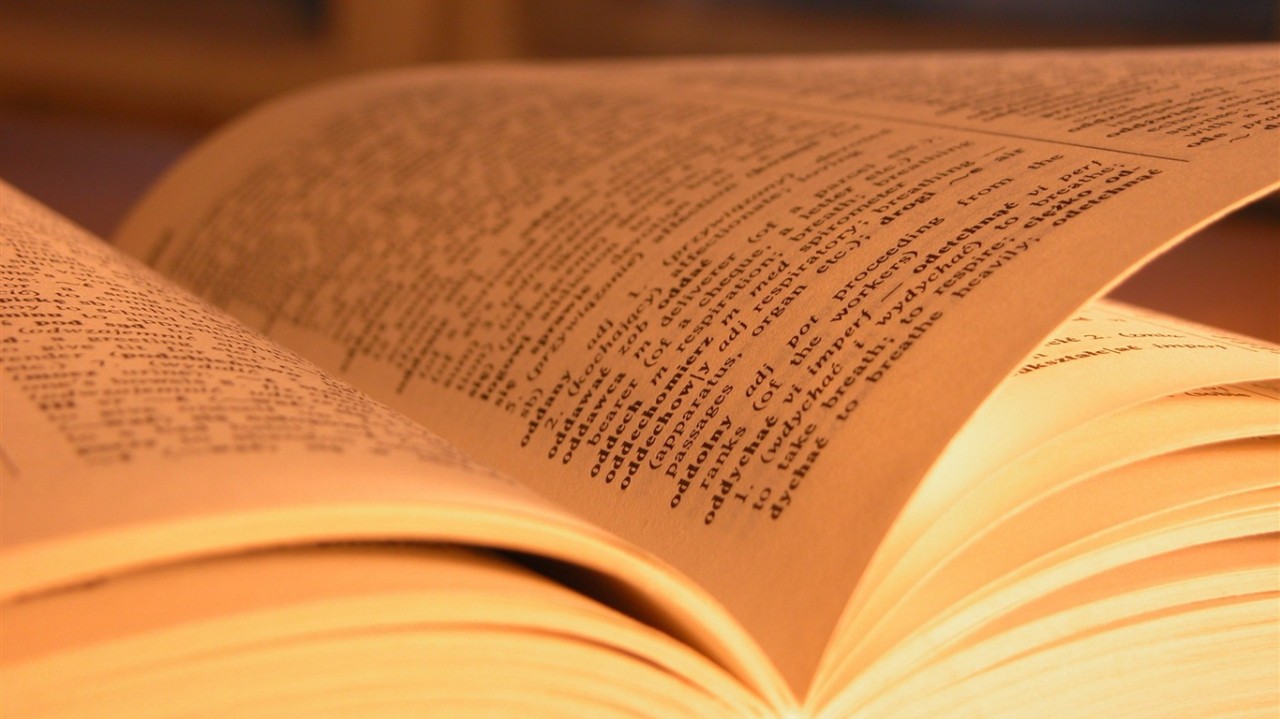 Desbravando Caminhos para o Sucesso: A Leitura de Desbravando Caminhos para o Sucesso: A Leitura de