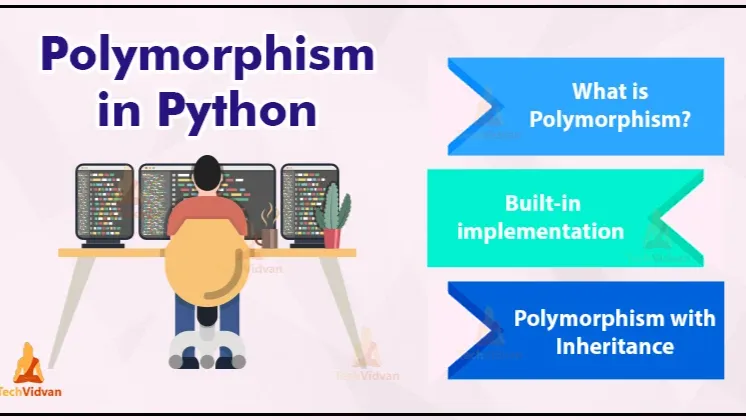 Understanding Python Inheritance and Polymorphism Understanding Python Inheritance and Polymorphism