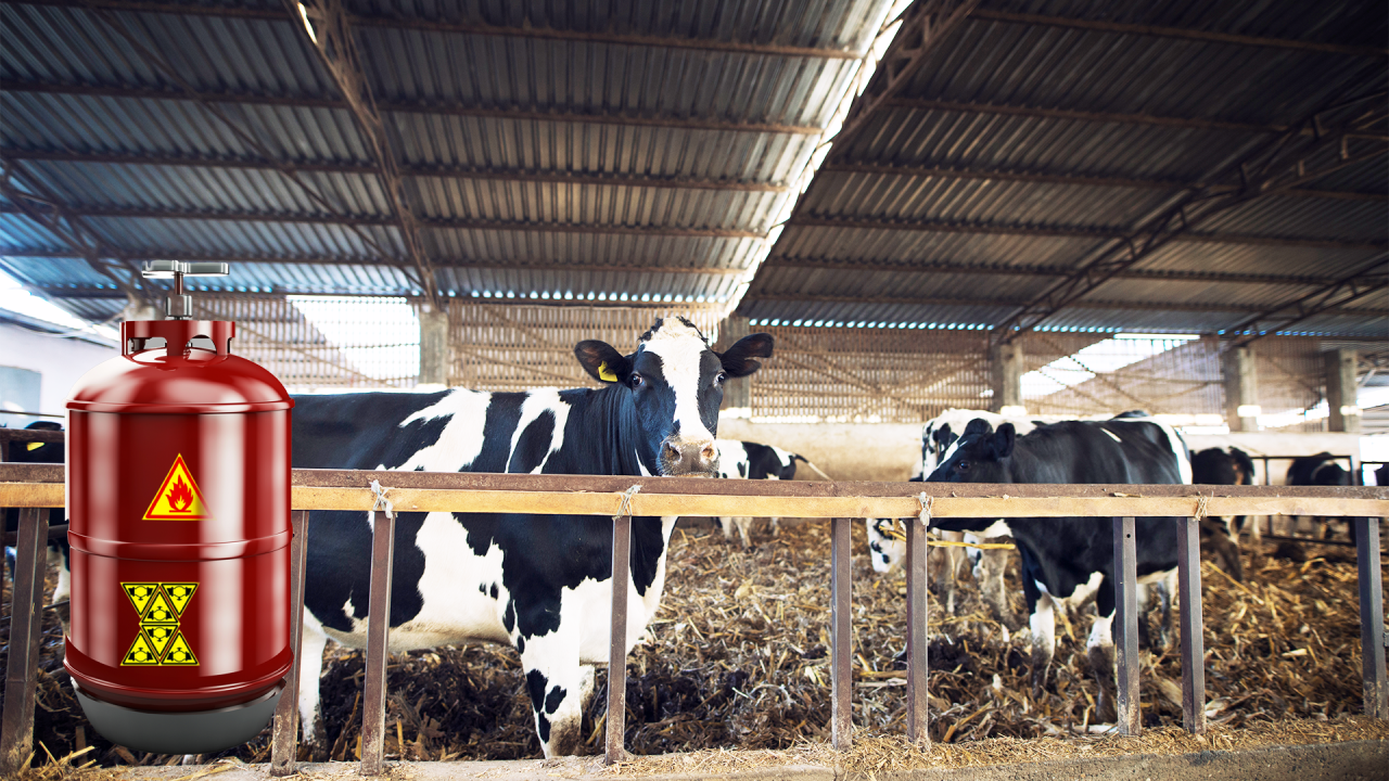 Why Farmers Should Be Supported to Harness Biogas Production Why Farmers Should Be Supported to Harness Biogas Production