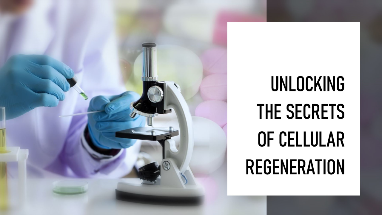The Age Reversal Algorithm: AI's Discovery of Cellular Regeneration ... The Age Reversal Algorithm: AI's Discovery of Cellular Regeneration ...