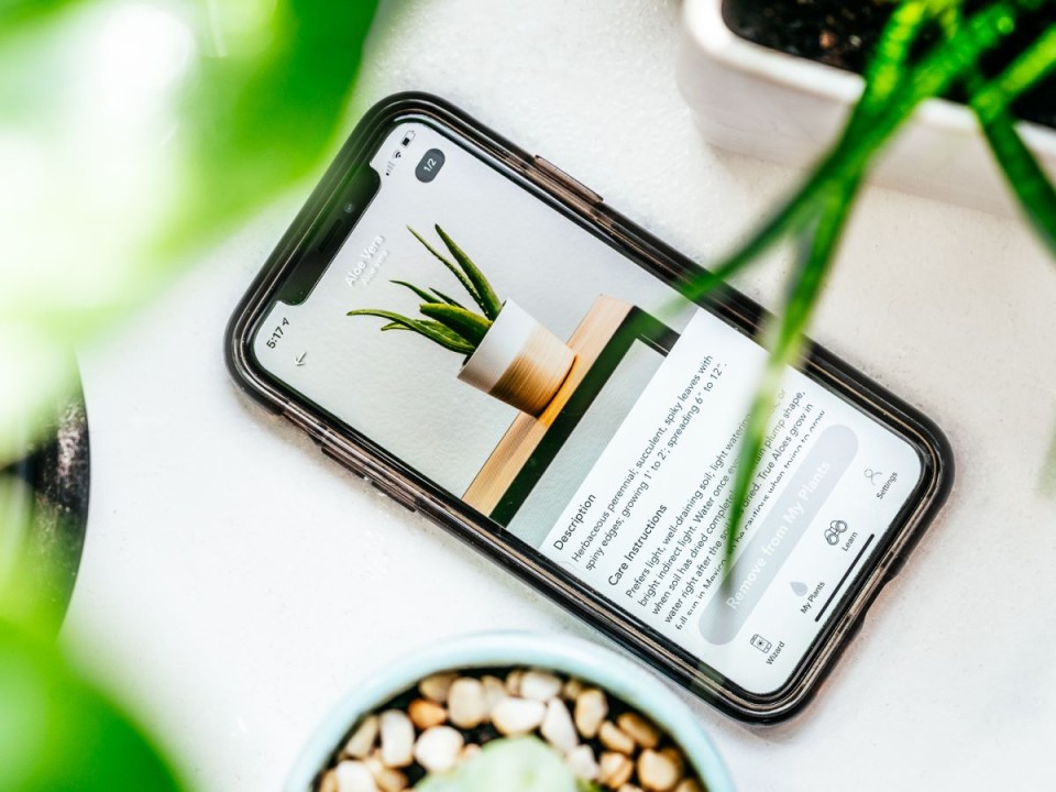 App-Based solution to identify & solve diseases in plants/crops App-Based solution to identify & solve diseases in plants/crops
