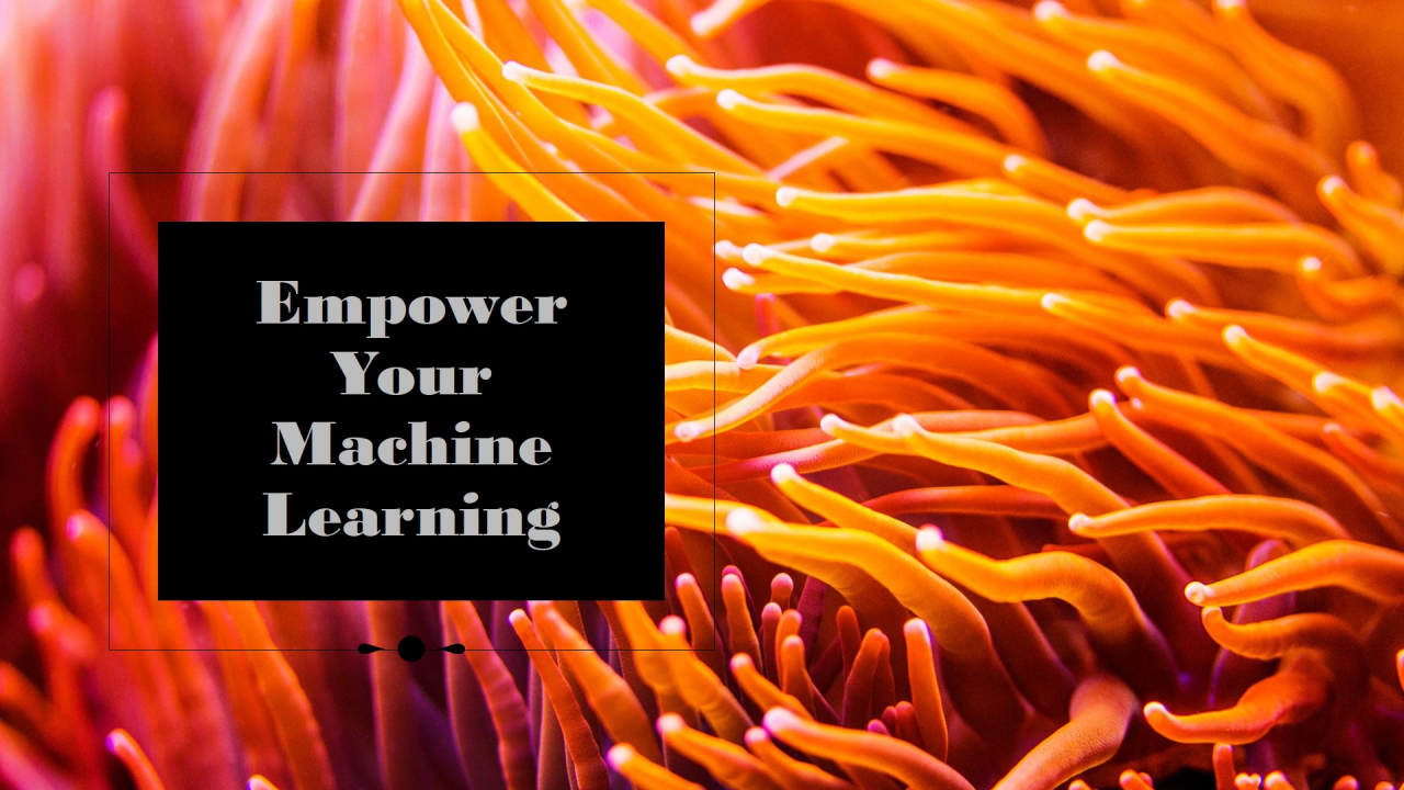 Seldon: Empowering Scalable Machine Learning Deployments Seldon: Empowering Scalable Machine Learning Deployments