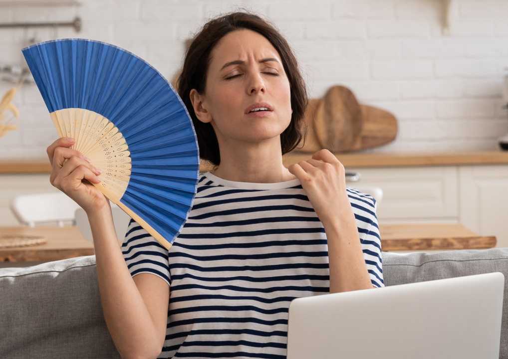 Navigating Menopause: Understanding Hot Flashes & Natural Solutions Navigating Menopause: Understanding Hot Flashes & Natural Solutions