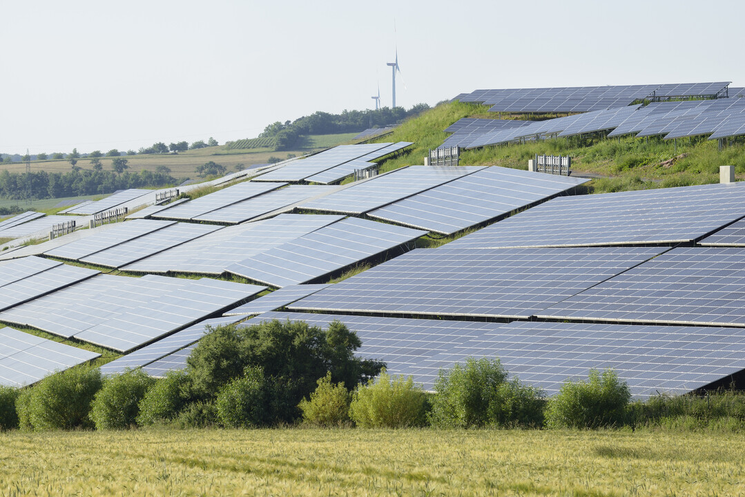Supply Chain Resilience in Wind and Solar Energy Supply Chain Resilience in Wind and Solar Energy