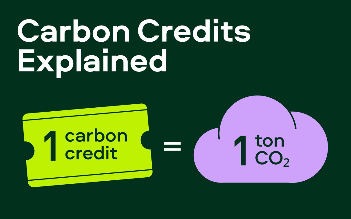 Understanding Carbon Credits: A Key to Sustainable Business Practices Understanding Carbon Credits: A Key to Sustainable Business Practices