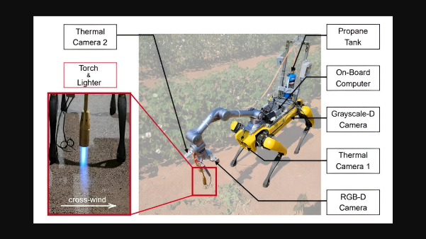 Advanced weed-stunning robotics technology Advanced weed-stunning robotics technology