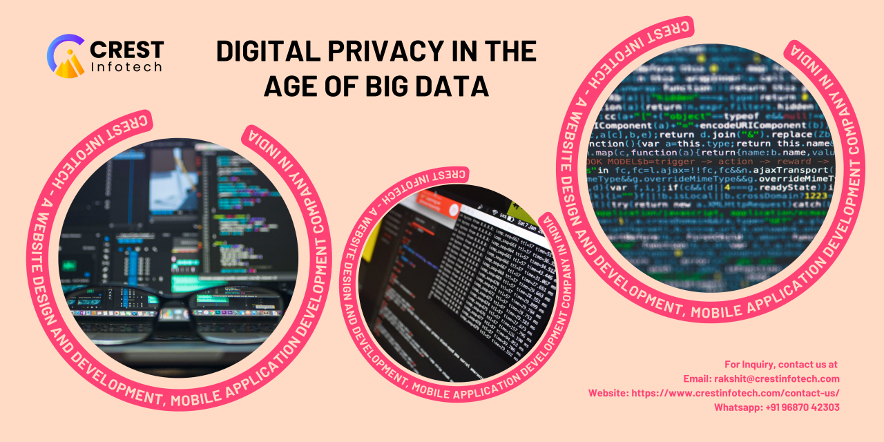 Navigating the Maze: Upholding Digital Privacy in the Age of Big Data Navigating the Maze: Upholding Digital Privacy in the Age of Big Data