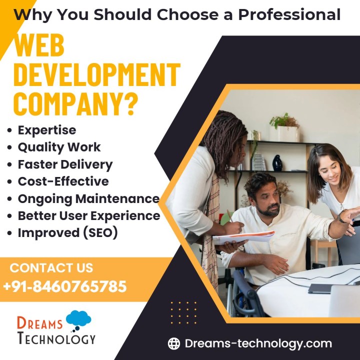 Why You Should Choose a Professional Web Development Company? Why You Should Choose a Professional Web Development Company?