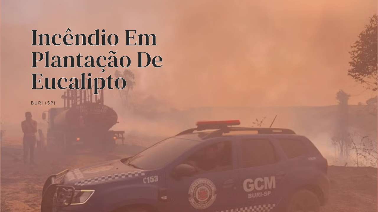 Incêndio Consome Plantação de Eucalipto em Buri (SP) Incêndio Consome Plantação de Eucalipto em Buri (SP)